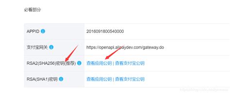 Golang对接支付宝支付golang Alipay Rsa2 Csdn博客