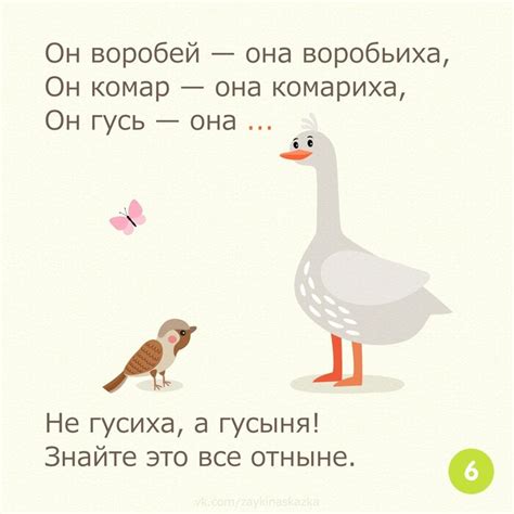 ИГРА НА ВНИМАНИЕ «ОН — ОНА Пикабу