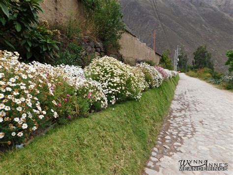 Wynn Annes Meanderings Ollantaytambo