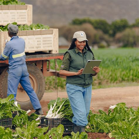 Africas Green Economy Opportunities For Young Women Accounting Firm