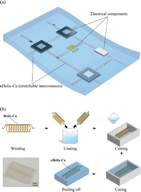 Schematic Illustration Of The Fabrication Process Of A 3d Download