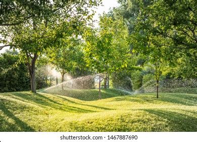 12 926 Tree Sprinkler Images Stock Photos Vectors Shutterstock