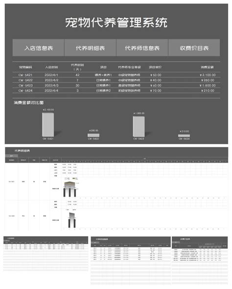 商务风灰色宠物代养管理系统excel模板 销售管理 系统之家办公