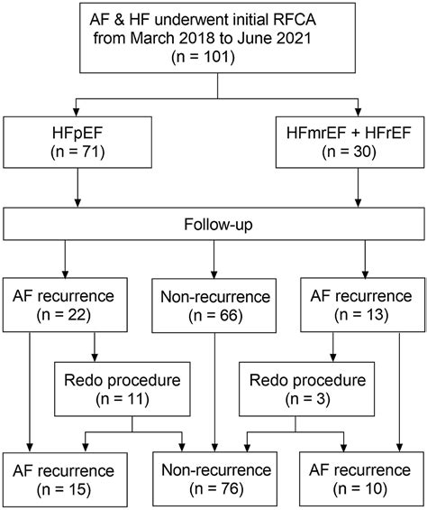 Frontiers Long Term Prognosis Of Radiofrequency Catheter Ablation For Atrial Fibrillation With