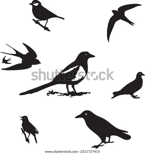 Collection Birds Silhouette On White Backgroundvector Stock Vector