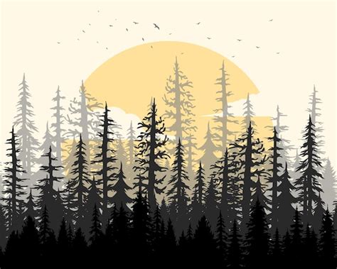 Premium Vector Pine Forest Sunset Landscape Silhouette Background