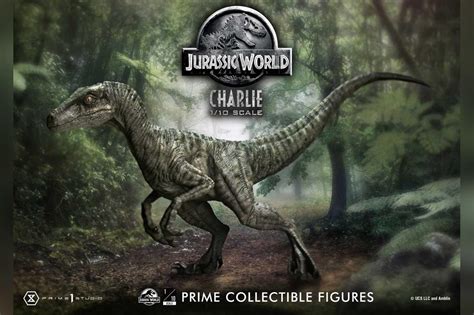 Jurassic World Charlie A Photo Collage Of Raptor Squad From Jurassic