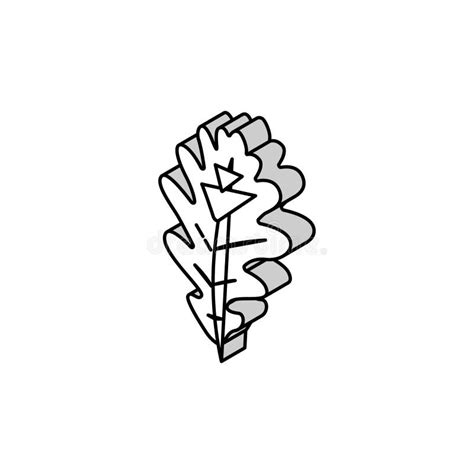 Oak Tree Leaf Isometric Icon Vector Illustration Stock Vector