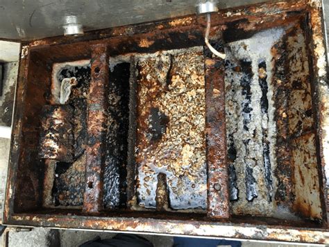 4 Questions To Know If Your Grease Trap Is Working Ecotec Water