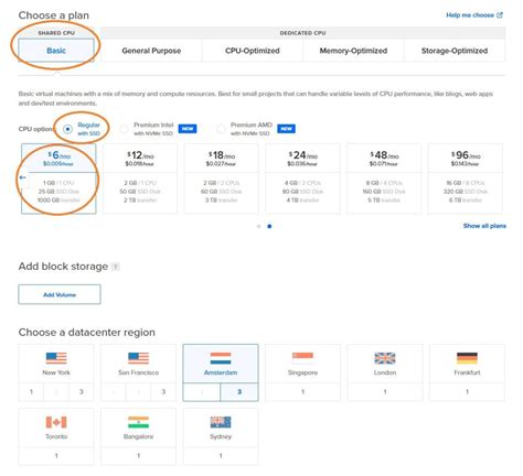 Reserving My Cloud Server With Digital Ocean Computer Looking Up