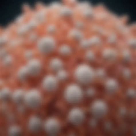 Lactobacillus Rhamnosus Lgg A Comprehensive Overview