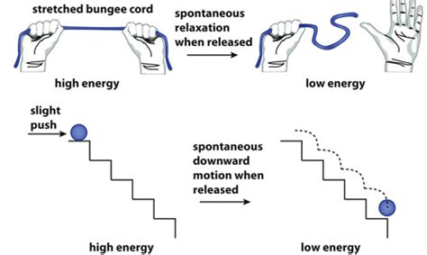 MCB Mt Flashcards Quizlet