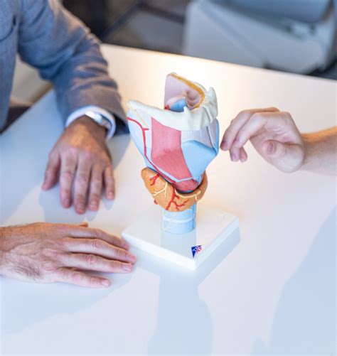 Hyperthyroidism My Ent Specialist