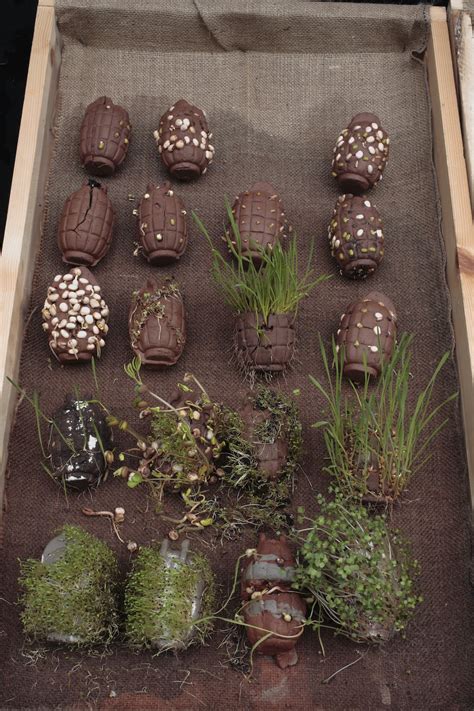 Weapons Project — Amber Ginsburg