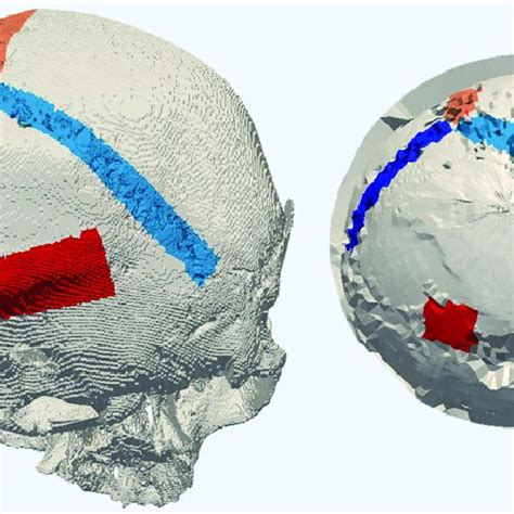 Datasets For Surface Registration Left 3d Model From A Segmentation Download Scientific