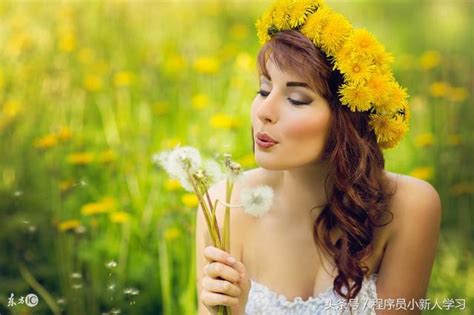 Php编程 Mysql Update Php学习 维易php培训学院 Php编程 Mysql Update Php学习 维易php培训学院