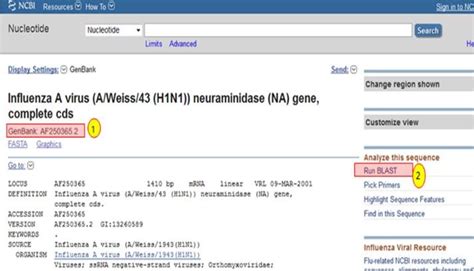 Nucleotide Sequence 1 3 Process Of Nucleotide Sequence Alignment Blast