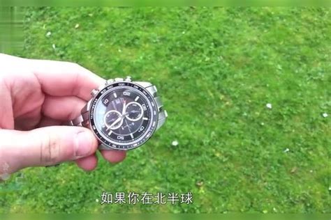 野外遇险时你该如何自救遇到鲨鱼千万不要逃