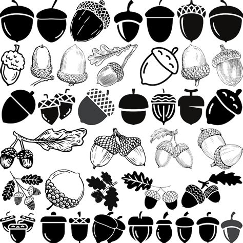 Acorn Svg Bundle Acorn Clipart Fall Svg Acorn Files For Cricut