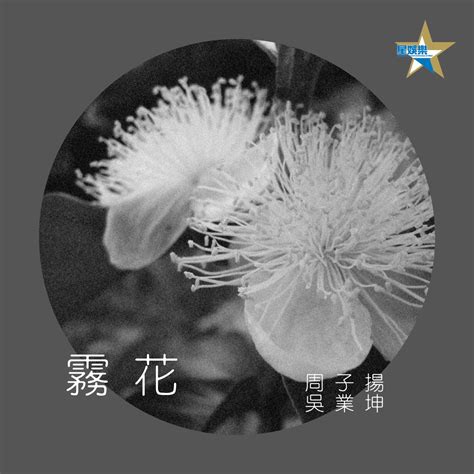 ‎《雾花 Single》 周子扬 And 吴业坤的专辑 Apple Music