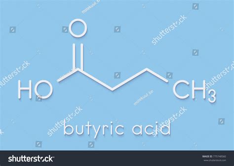 29 Short Chain Fatty Acid 이미지 스톡 사진 및 벡터 Shutterstock