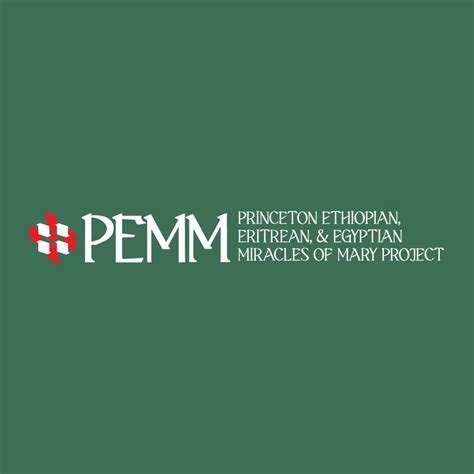 Case Study Pemm Princeton Ethiopian Eritrean And Egyptian