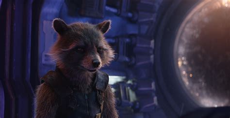 Rocket Raccoon Quote Marvel Cinematic Universe Wiki Fandom Powered
