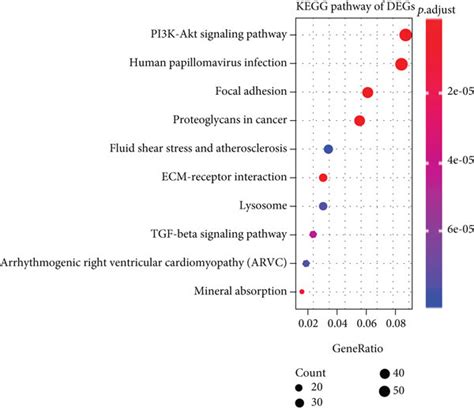 Identification Of Degs And Their Biological Functions For Ewings