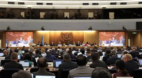 Imo Initiates New Cii Revision Mepc 80 Ship Nerd