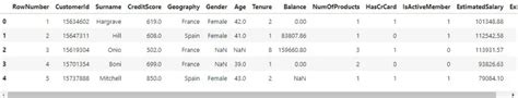 Ml Modeling Problem Statement And Data Description Mlplus