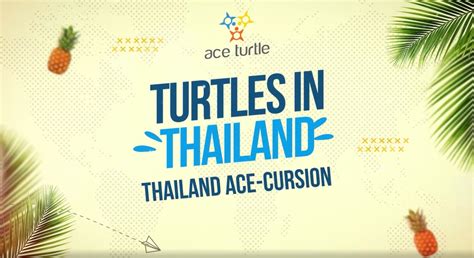 Video Sreelekha Kl On Linkedin Motivation Challenges