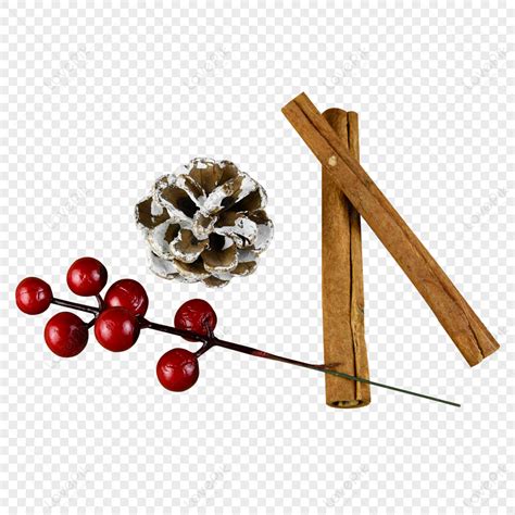 Decorative Branches Cinnamon And Cypress Nuts Cypress Fruit Tree Branch