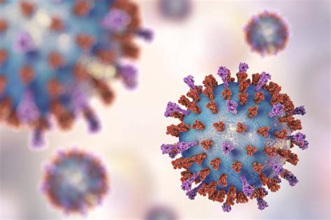 Single Dose Nirsevimab Prevents Rsv Associated Lrti In Preterm Infants