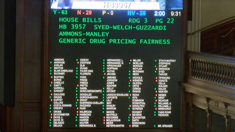 House Republicans Call Faulty Democrat Votes Absolute Insanity
