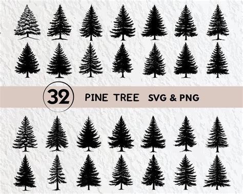 Pine Tree Silhouette Bundle 300 Dpi Svg And Png Designs Etsy