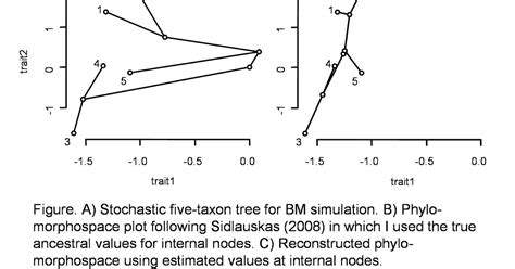 Phylogenetic Tools For Comparative Biology Phylomorphospace Plotting
