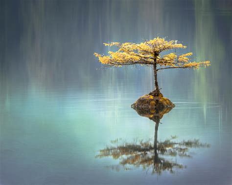 🔥 10 Calm Meditation Wallpapers Wallpapersafari