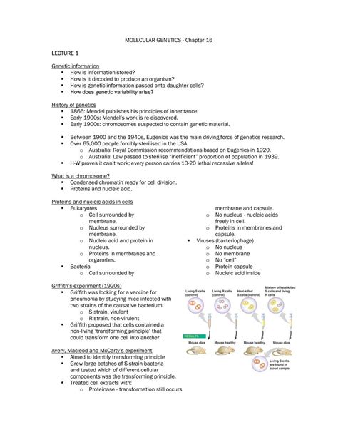 Complete Lecture Notes Of The Molecular Genetics Module Biol1003 Evolution Ecology And