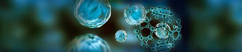 一碳论坛第十五讲：刘占英教授 木质纤维素生物质资源化利用 一碳生物技术研究中心