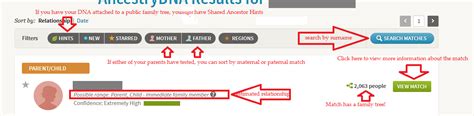 Understand Your Ancestry DNA Matches Who Are You Made Of