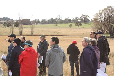 Ecologists Launch New Surveys Ginninderra