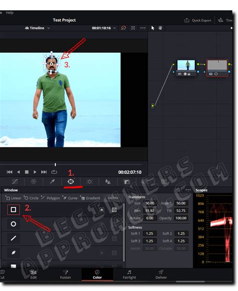 DaVinci Resolve Blur Face Use THIS Blur Effect 2024