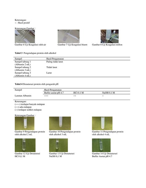 Solution Laporan Praktikum Biokimia Umumlab Reports Of General