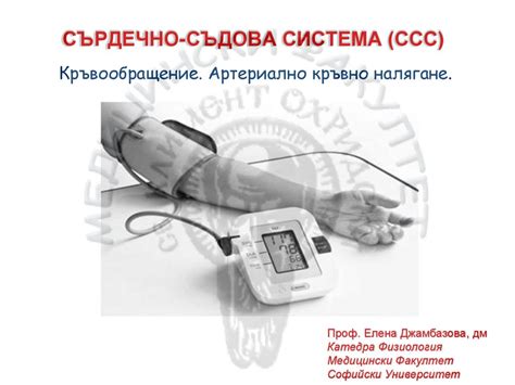 Сърдечно съдова система ССС Кръвообращение Артериално кръвно