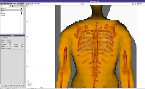 Usrbin Plot For Voxel Geometry Scoring Fluka User Forum
