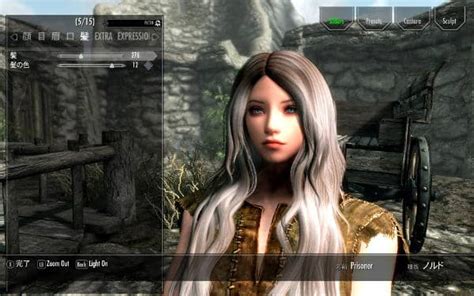 Skyrim Se 美人 Mod 導入