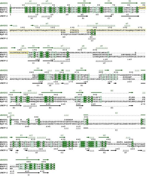 Fig S Sequence Alignment Of Major Capsid Proteins Of Selected