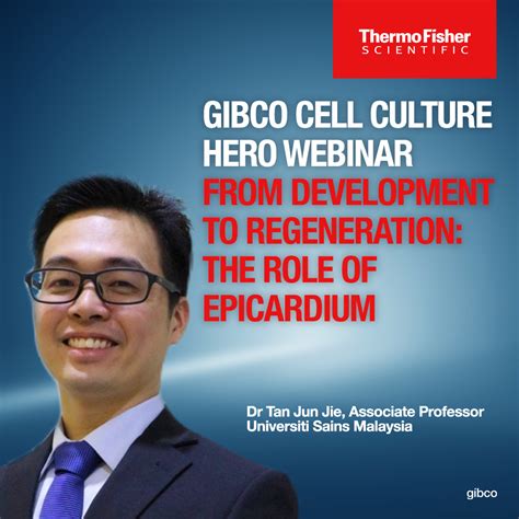 Introducing Our Gibco Cell Culture Gibco Cell Culture
