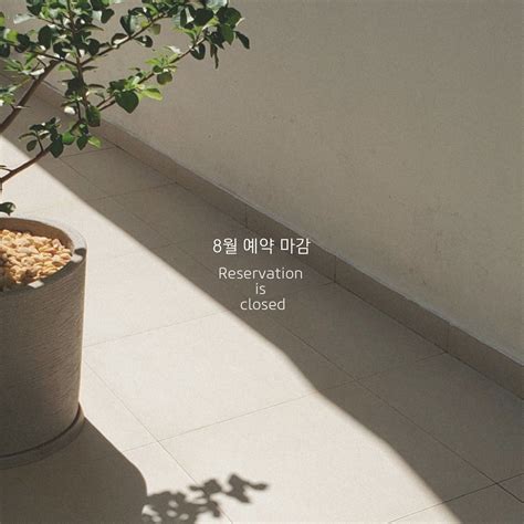 성남눈썹문신 분당눈썹문신 모란눈썹문신 브라운아이라인 애교살반영구 韓国アートメイク 위드로우 𝟖월 예약 모두 마감되었습니다ᐟ 감사합니다🖤 현재 𝟗월 예약 진행중이며 추석