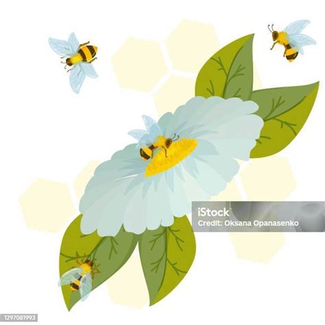 벌집 배경에 꿀벌주위에 꿀벌과 카모마일 꽃 흰색 배경에 고립 된 만화 스타일의 벡터 일러스트레이션에 그려진 화환 0명에 대한